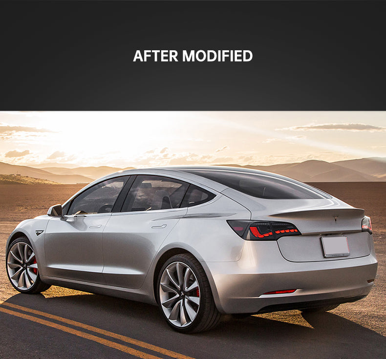 Home VLAND LED Tail Lights for Tesla Model 3 2007-2022 with Start Up ...